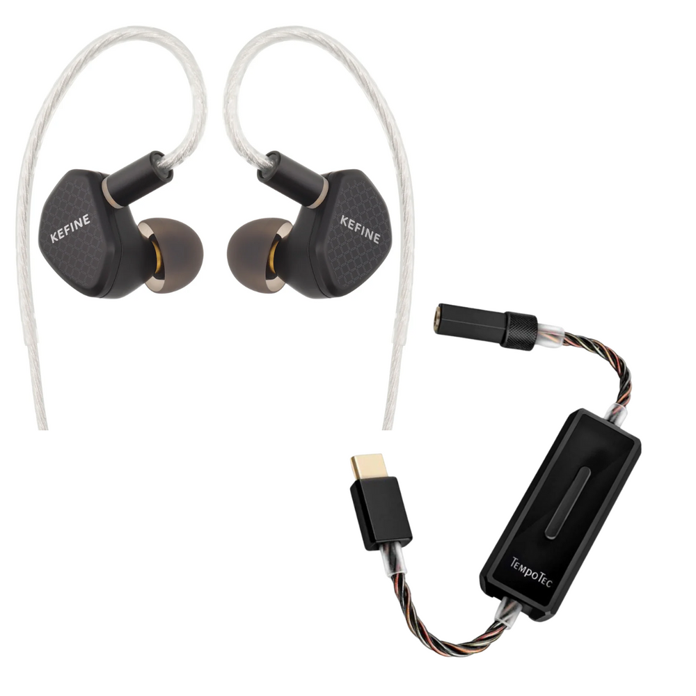 Type-C IEM Earphones In India - The Audio Store