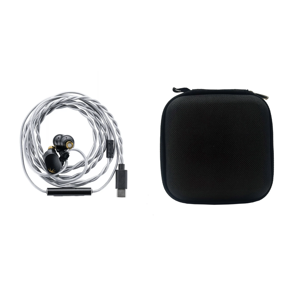 Type-C IEM Earphones In India - The Audio Store