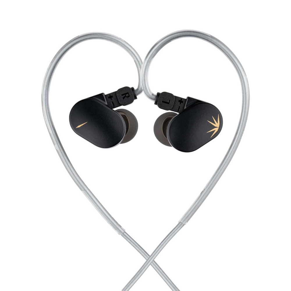Best Audiophile IEMs in India 2025 | Top In-Ear Monitors for Audiophiles