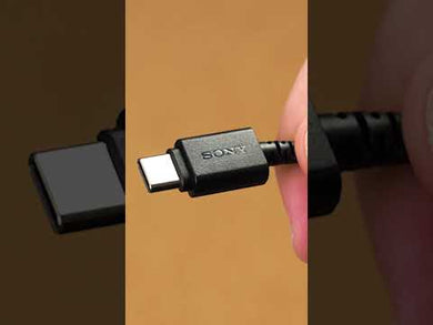 Sony IER-EX15C Type-C Earphones With Mic In India