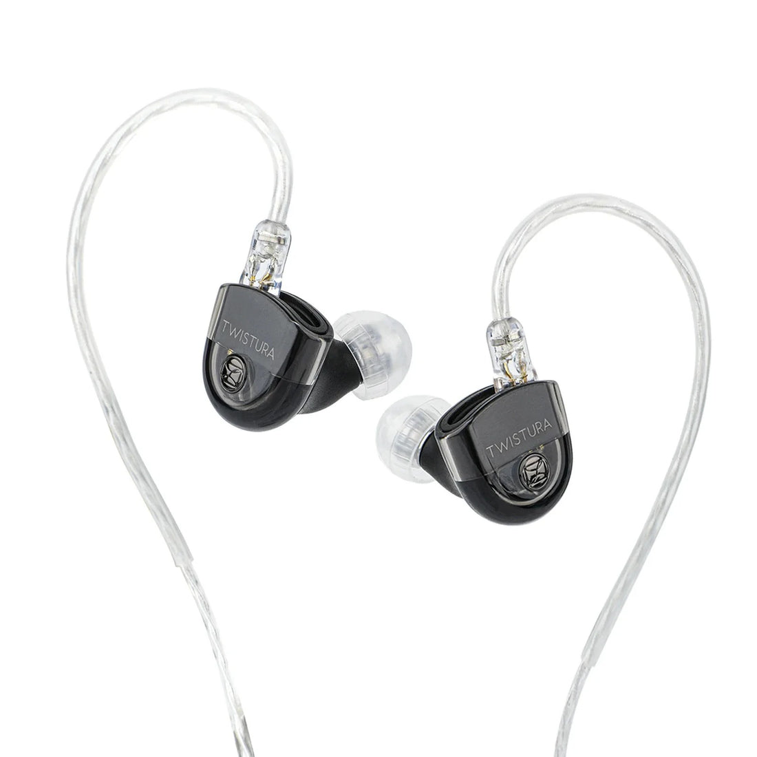 TWISTURA D-Minor IEM Earphones