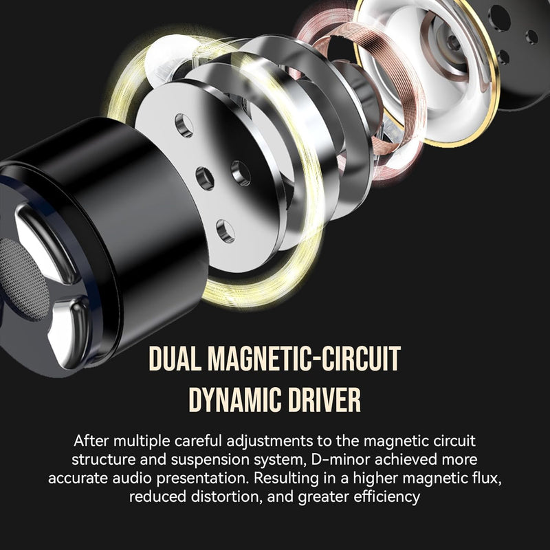 TWISTURA D-Minor IEM Earphones